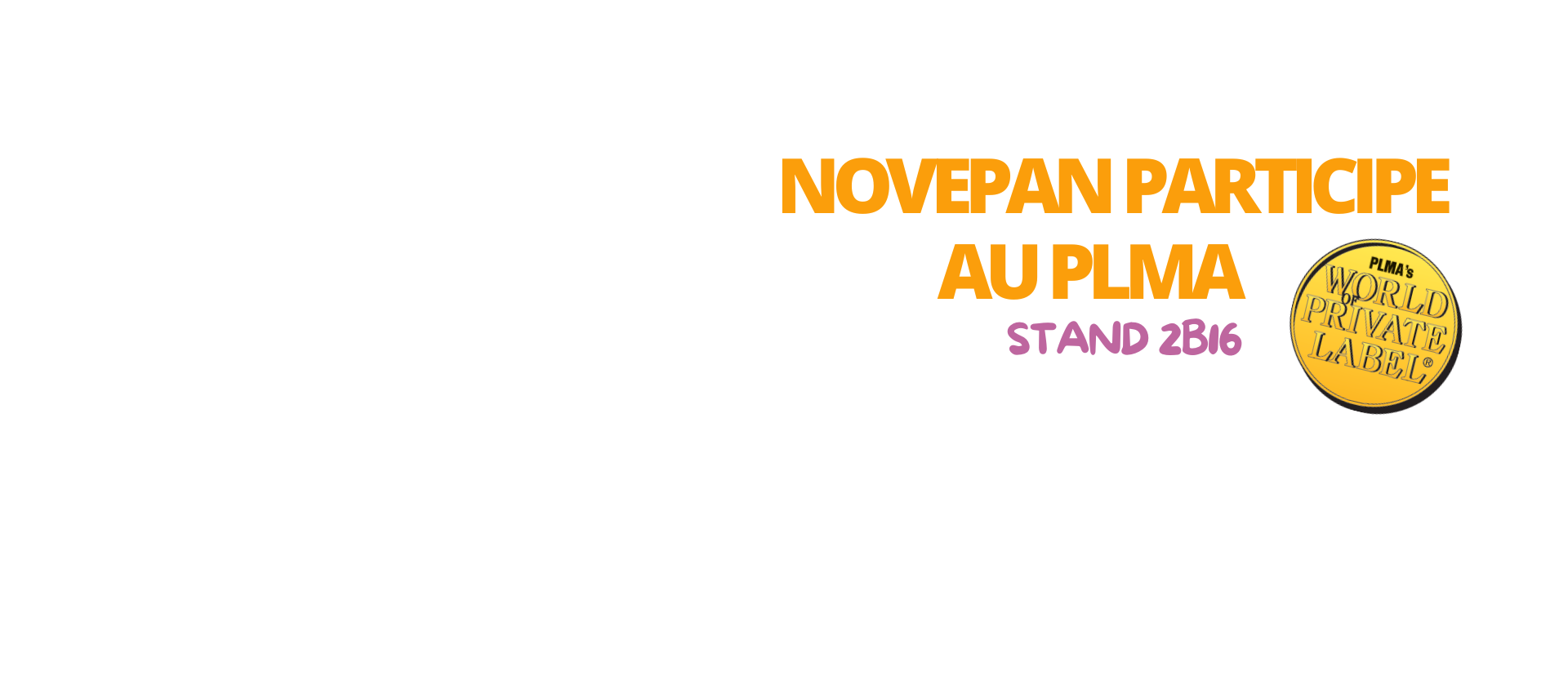 NOVEPAN | Fabricant français | PAIN SNACK PATON BIO